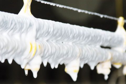 Cleaning and Disinfecting Flocks of Broilers - Grand Valley Fortifiers