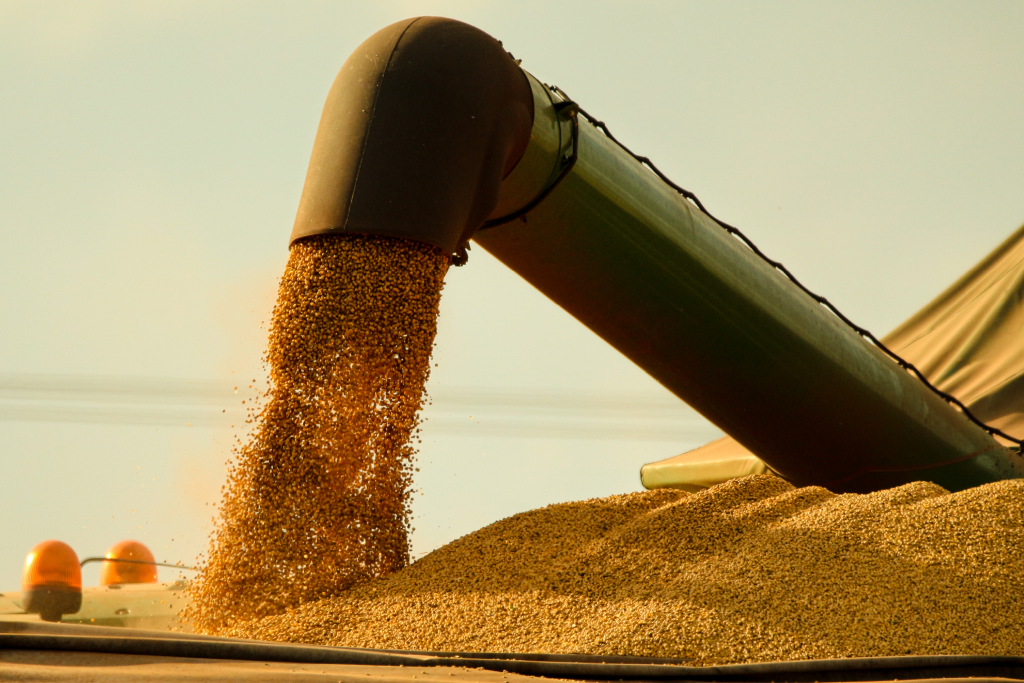 High Oleic Soybeans - an exciting new ingredient! - Grand Valley Fortifiers