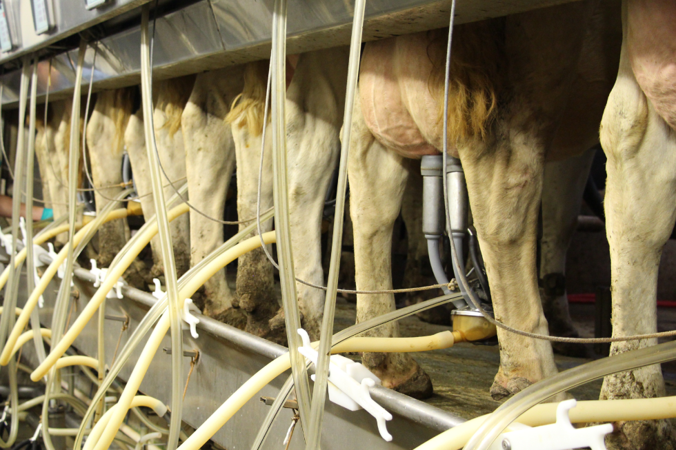 Strategies to Manage Supply the Next Few Months - Grand Valley Fortifiers